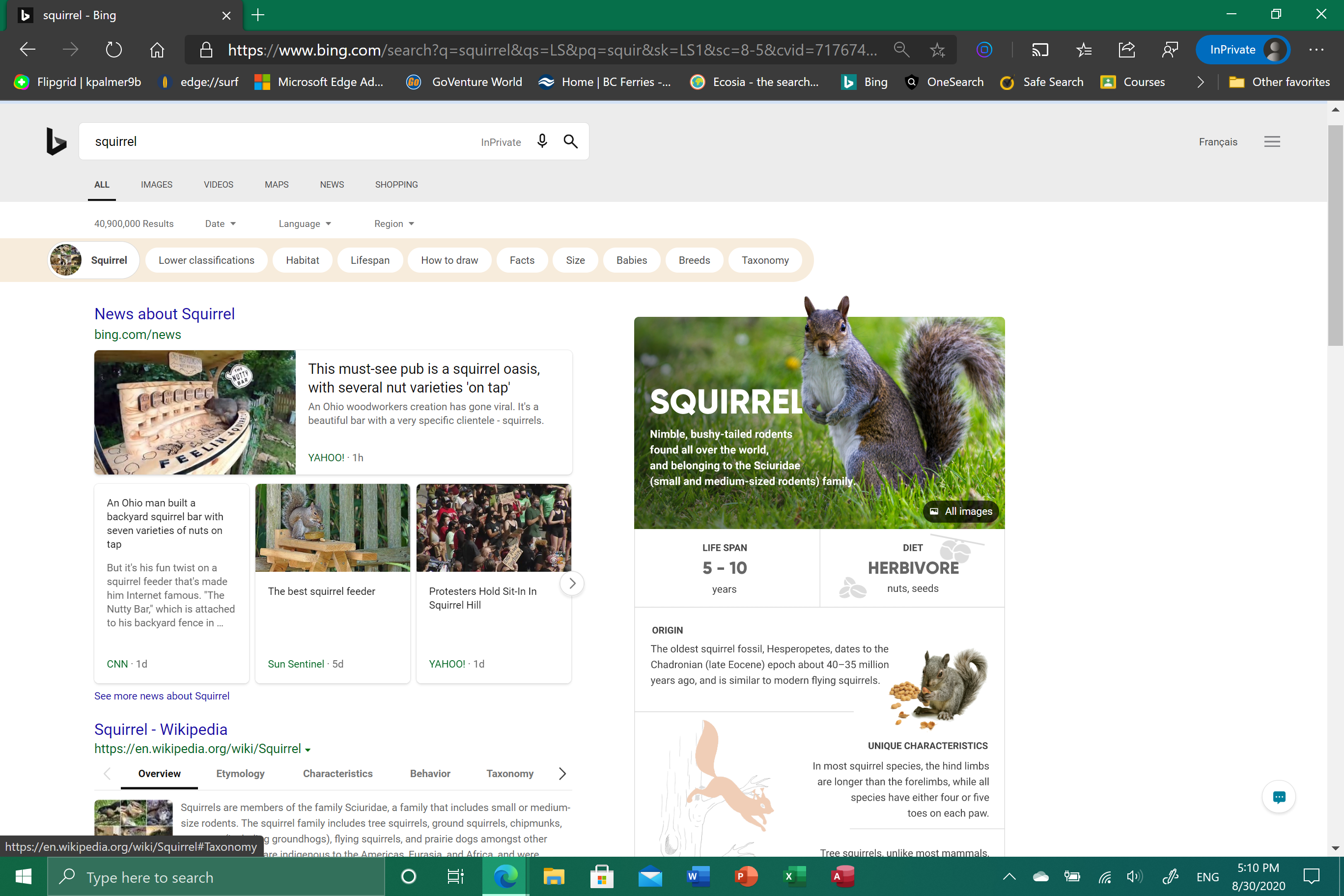Bing Anaimals | Microsoft Community Hub